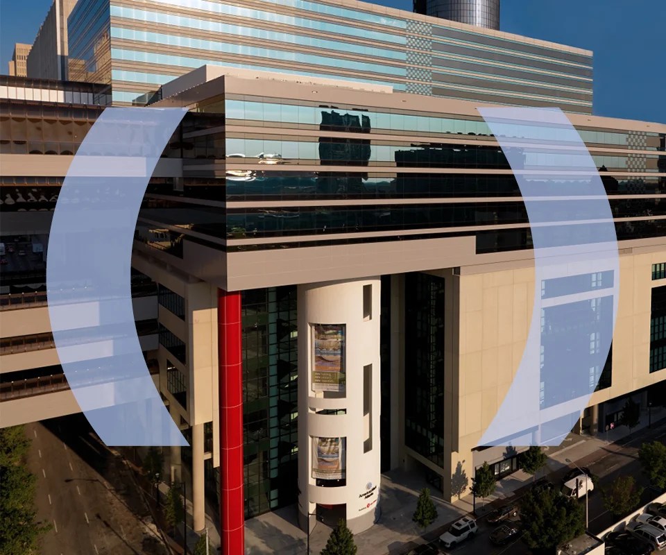 The Summer Shows Did Go On – WarrensReport